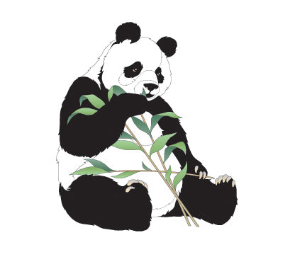 PAPER TRANSFER PANDA - PT-PANDA – Friddles